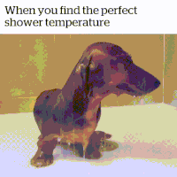 Bogos Binted Meme GIFs - Find & Share on GIPHY