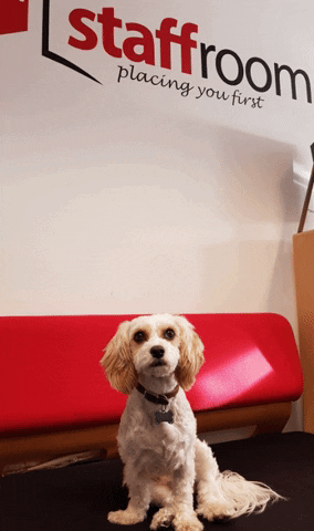 Staffroom Education GIF - Find & Share on GIPHY