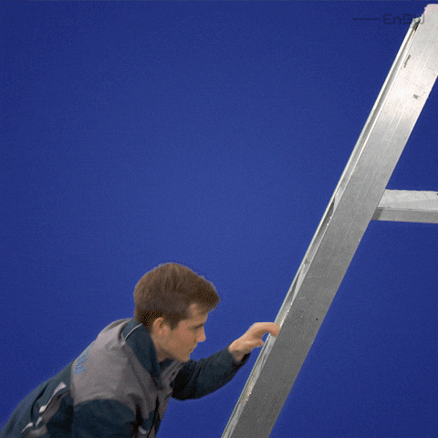 Ladder Meme GIFs - Find & Share on GIPHY