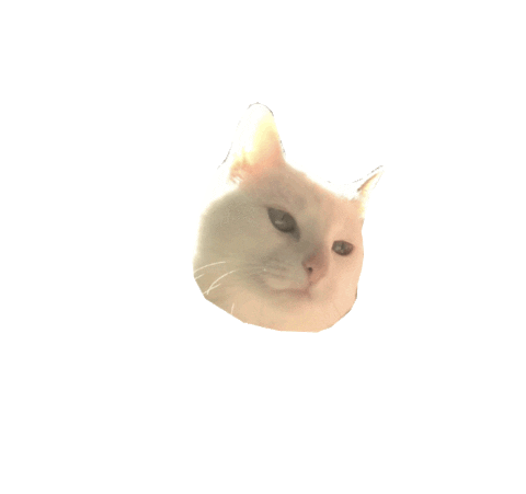 Cat Head Bump Stickers - Find & Share on GIPHY