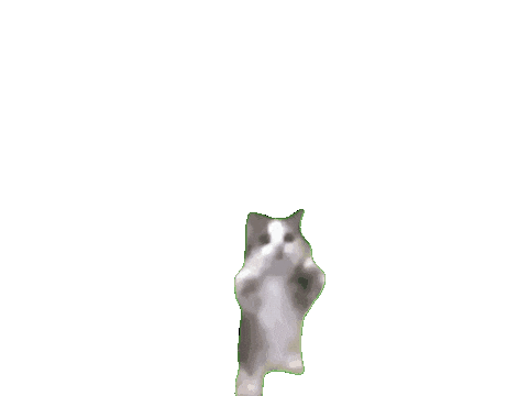 Happy Happy Cat Meme Stickers - Find & Share on GIPHY