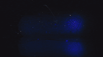 blue planet love GIF by BBC Earth