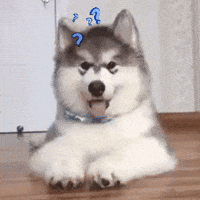 Doofus GIFs - Find & Share on GIPHY