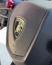 Steering Wheel GIFs - Find & Share on GIPHY
