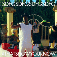 Sdfgsdfg GIFs - Find & Share on GIPHY