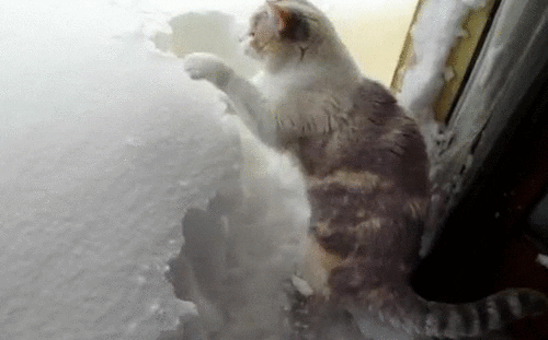 Frp GIFs - Find & Share on GIPHY