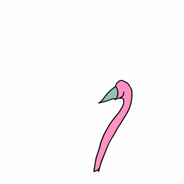 Deadly Flamingo GIFs - Find & Share on GIPHY
