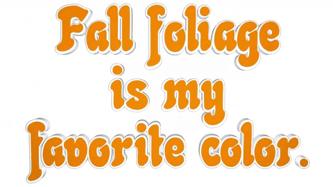 Fall Autumn GIF - Find & Share on GIPHY