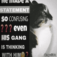 He Made A Statement So Trash GIFs - Find & Share on GIPHY