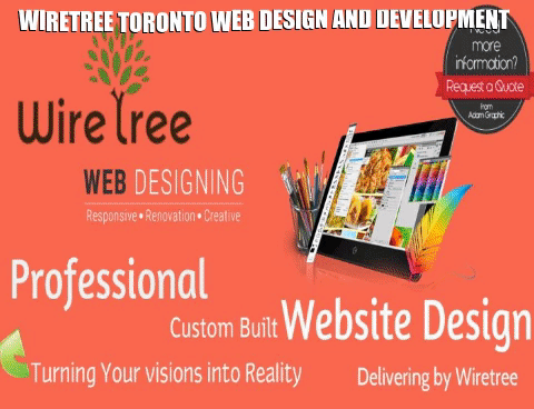 toronto web development GIF - Find & Share on GIPHY