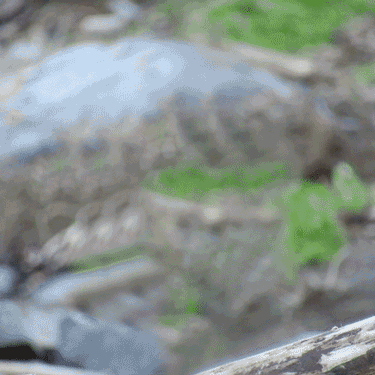 Im Out GIF by GIF IT UP - Find & Share on GIPHY