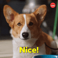 Stop Motion Smile GIF by Aardman Animations