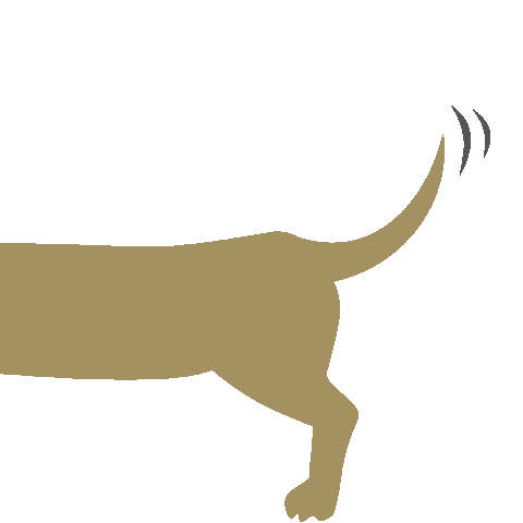 Dog Tail Wagging Sticker by Diamond Pet Foods for iOS & Android | GIPHY