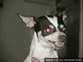 Angry Dog GIFs - Find & Share on GIPHY