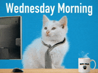 Work-wednesday GIFs - Get the best GIF on GIPHY