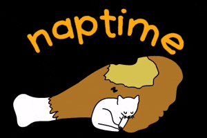 sleepy do not disturb GIF by Dr. Donna Thomas Rodgers