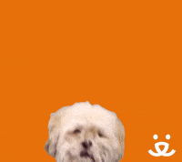 Heyyyyyy GIFs - Find & Share on GIPHY