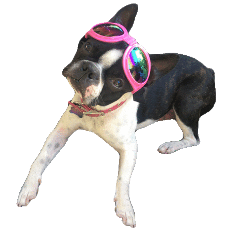 Bone Soda Stickers - Find & Share on GIPHY