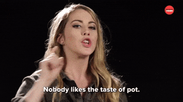 Snl If You Insist GIF by Saturday Night Live