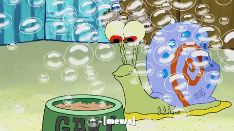 One Snail Sponge GIFs - Find & Share on GIPHY