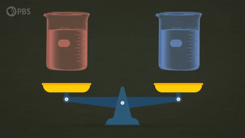 GIF by PBS Digital Studios