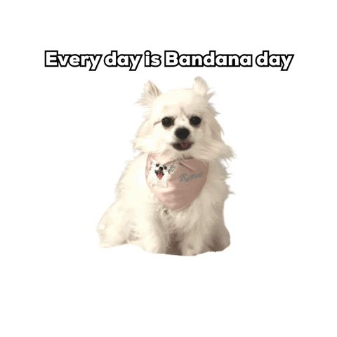 Romeo Mama Custom Made Bandana GIFs - Find & Share on GIPHY