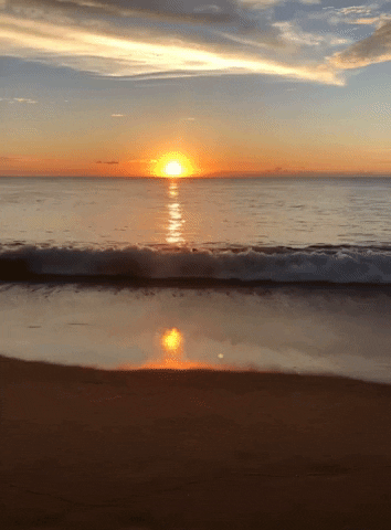 Sunrise Moments GIFs - Find & Share on GIPHY