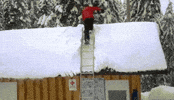 Shoveling Snow GIFs - Find & Share on GIPHY