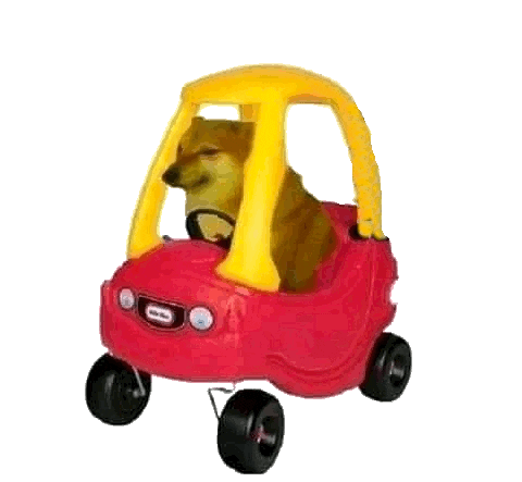 Cheemsmeme Sticker by Revicheems for iOS & Android | GIPHY