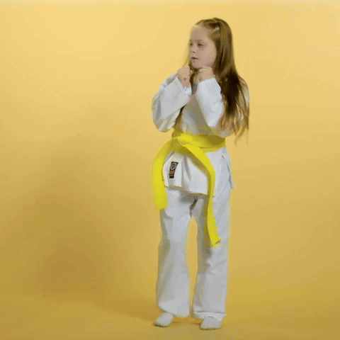 Karate Chip Clips - Find & Share on GIPHY