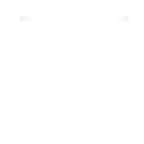 ישראל Sticker by Zman Amiti for iOS & Android | GIPHY