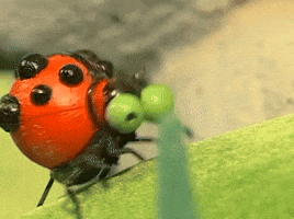 Animation Cartoon GIF by Florens Debora