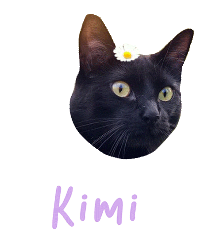 Cat Kimi Sticker - Find & Share on GIPHY