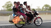Indian GIFs - Find & Share on GIPHY