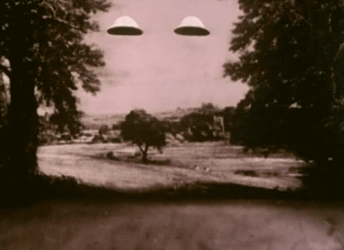 Monty Python Memes GIFs - Find & Share on GIPHY