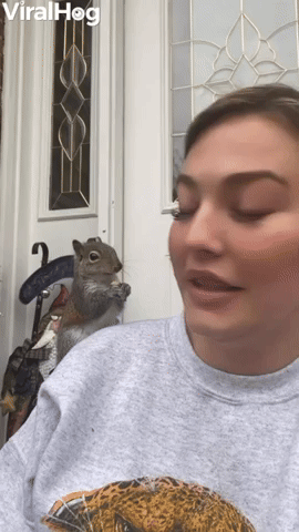 Squirrel Girl Clips - Find & Share on GIPHY