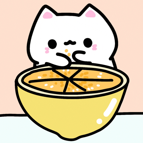 White Cat GIF - Find & Share on GIPHY