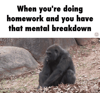 Do Your Homework Gif