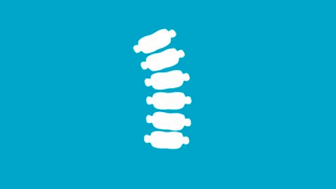 British Columbia Chiropractic Association GIF - Find & Share on GIPHY