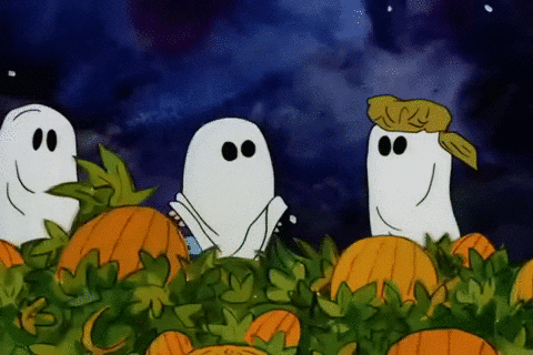 Peanuts Halloween GIFs - Get the best GIF on GIPHY