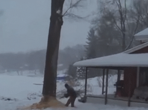 Tree Cutting GIFs - Get the best GIF on GIPHY