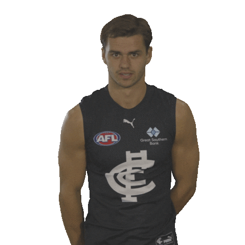 Carlton Fc Yes Sticker by Carlton Football Club for iOS & Android | GIPHY