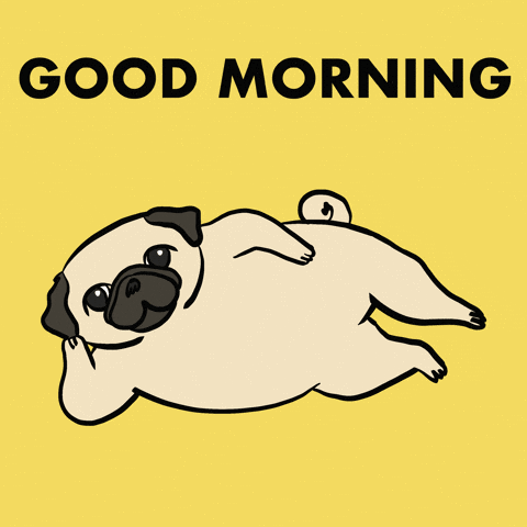Morning-exercise GIFs - Get the best GIF on GIPHY