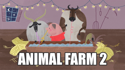 Animal Farm GIFs - Get the best GIF on GIPHY