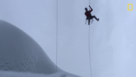Sliding Nat Geo GIF by National Geographic Channel - Find & Share on GIPHY