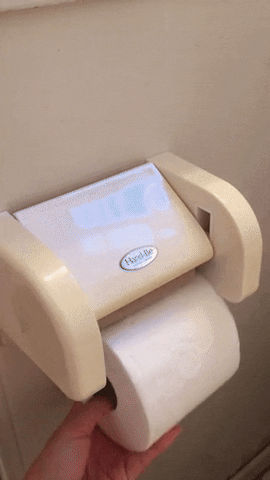 Roll Toilet GIF by Mashable - Find & Share on GIPHY