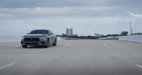 New Mustang GIFs - Get the best GIF on GIPHY