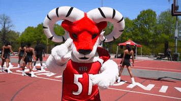 Winston-Salem State University GIFs on GIPHY - Be Animated