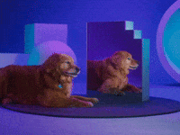 Internet-world GIFs - Get the best GIF on GIPHY