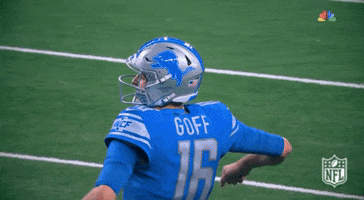 Detroit Lions GIFs on GIPHY - Be Animated